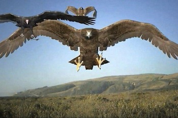 BIRDEMIC: SHOCK AND TERROR - STARBURST Magazine