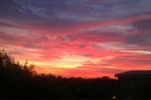 THE HOWIT - STARBURST Magazine