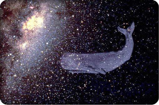 Movie News: Sci-Fi MOBY DICK Project Gets Greenlight... - STARBURST ...