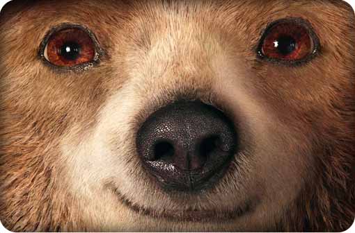 Paddington Bear | Paddington - STARBURST Magazine