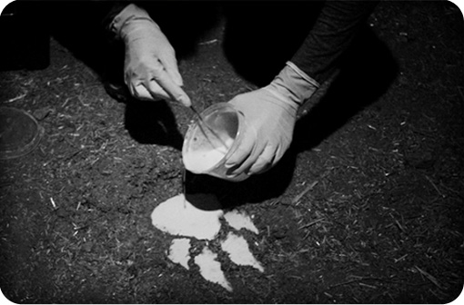 DVD Review: SKINWALKERS - STARBURST Magazine