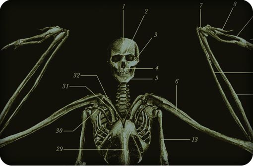 Book Review: THE RESURRECTIONIST - STARBURST Magazine