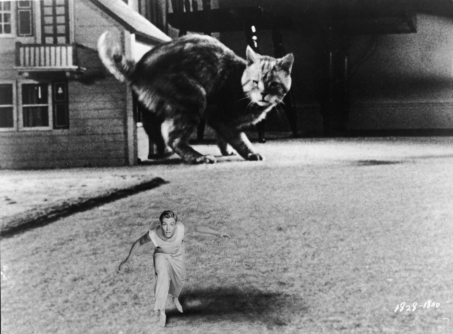 THE INCREDIBLE SHRINKING MAN (1957) - STARBURST Magazine