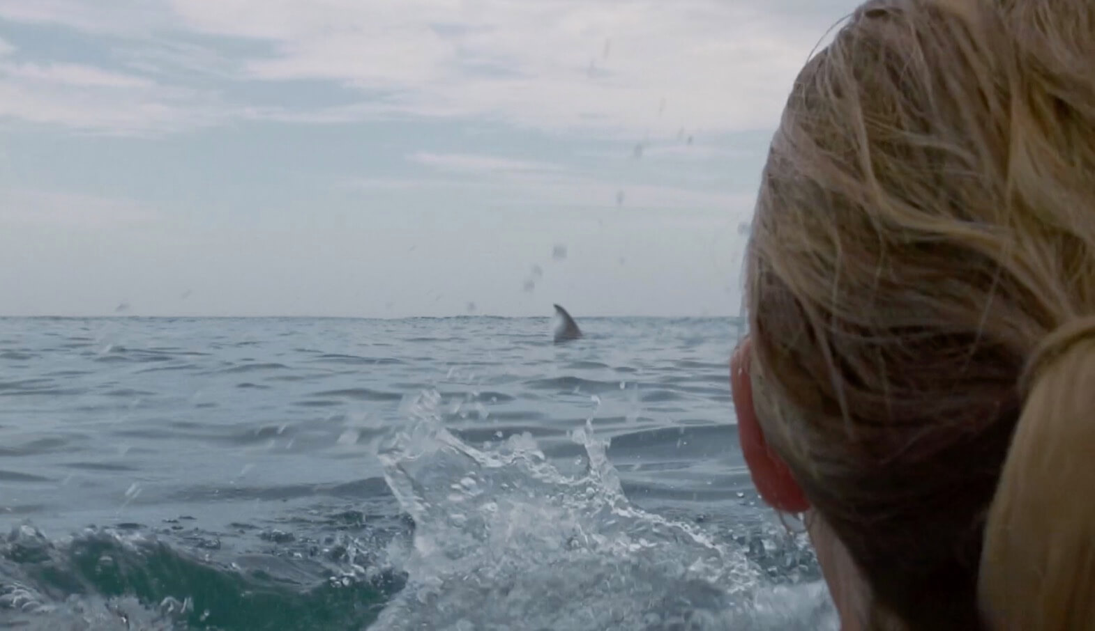 The Top 12 Shark Movies... That Aren't JAWS - STARBURST Magazine