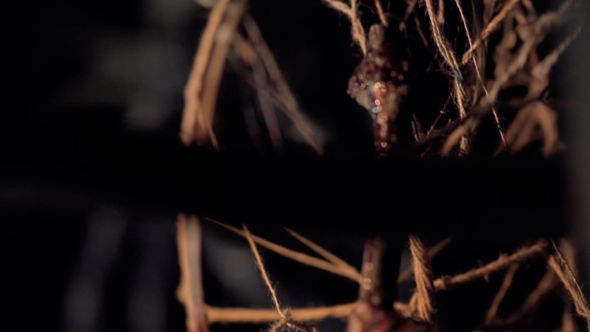 First Images Released for Indie Film SENSELESS - STARBURST Magazine