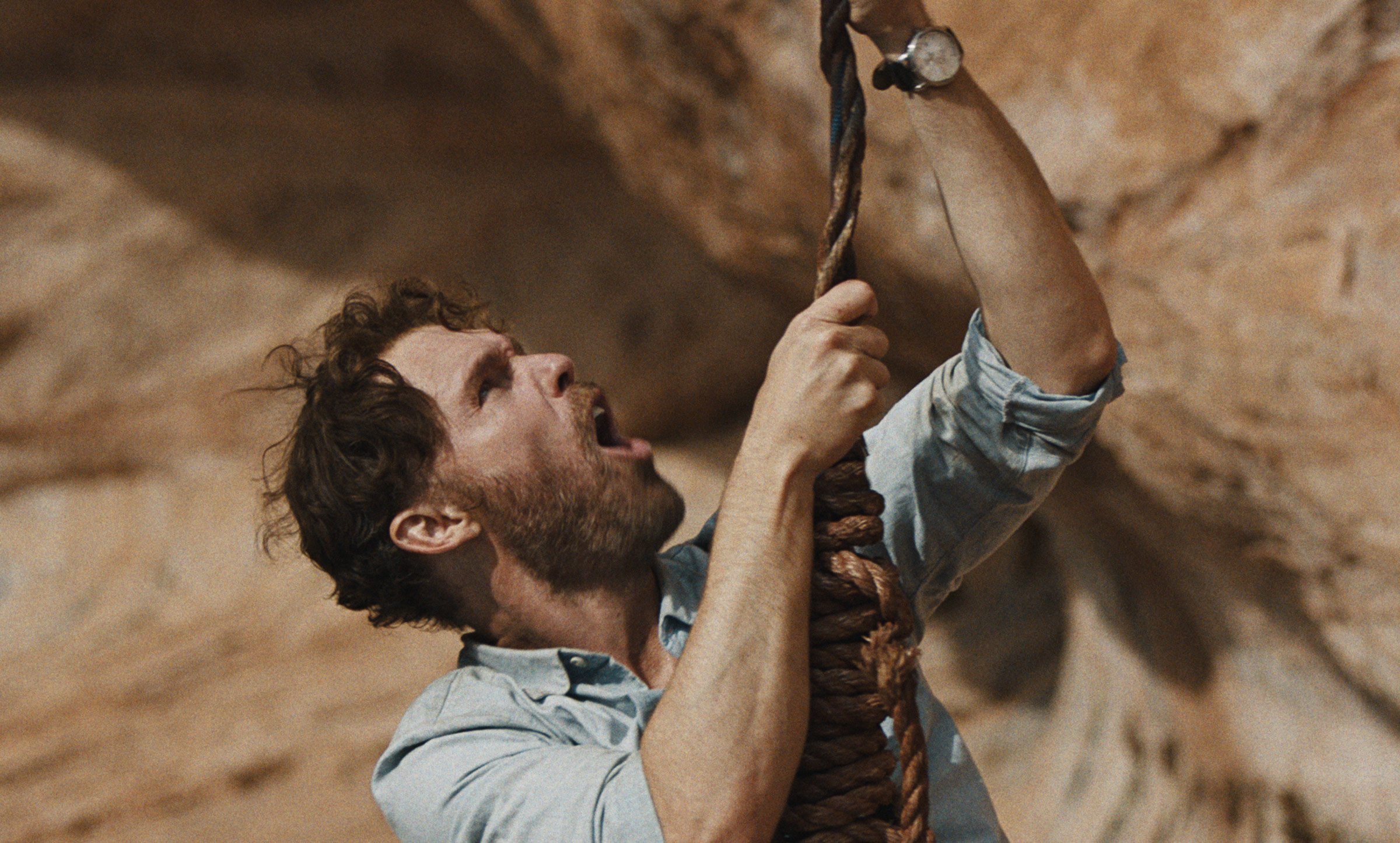 THE SEEDING - STARBURST Magazine